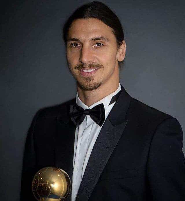 Zlatan Ibrahimovic, a footballer - Players Bio