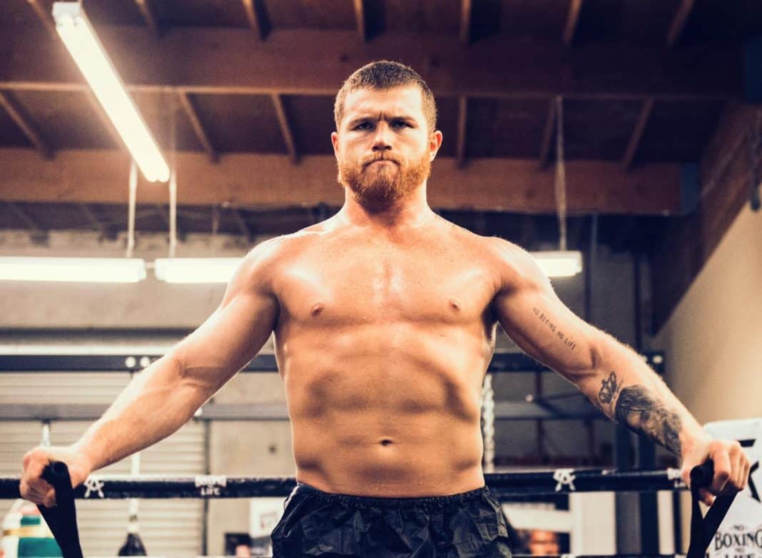 Canelo Alvarez Bio [2022 Update]: Career, Net worth & Boxing