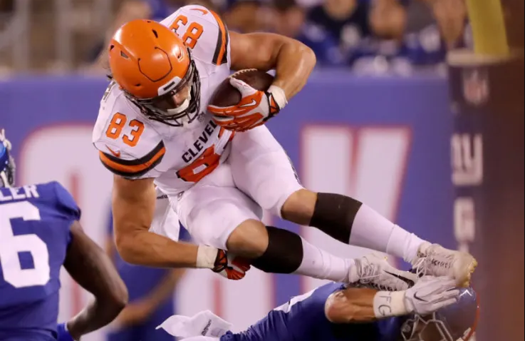 Devon Cajuste Bio: Father, NFL, Girlfriend & Net Worth - Players Bio