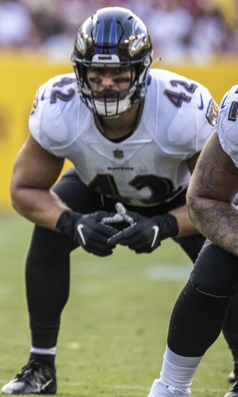 Top 9 Best NFL Fullbacks in the World - Players Bio