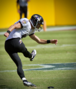 12 Best NFL Kickers of Current Year - Players Bio