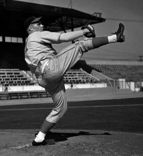 mlb-record - Players Bio