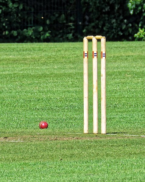 Cricket_ball_and_wicket - Players Bio