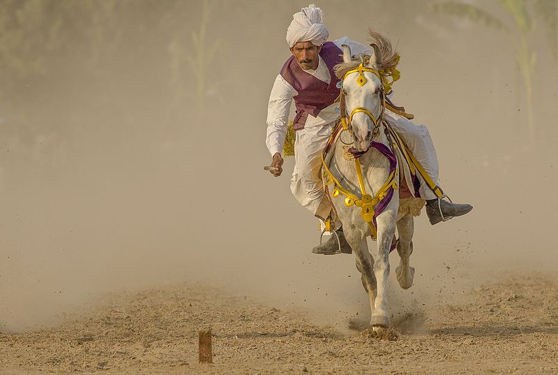 12 Most Popular Sports in Pakistan - Players Bio