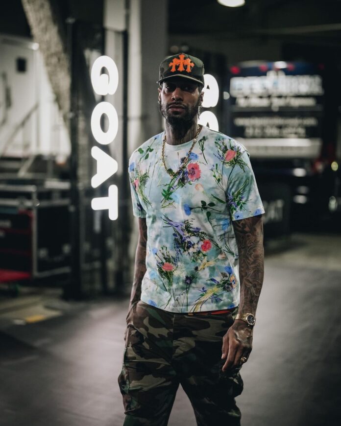 James Johnson: NBA, Net Worth, Wife & MMA - Players Bio