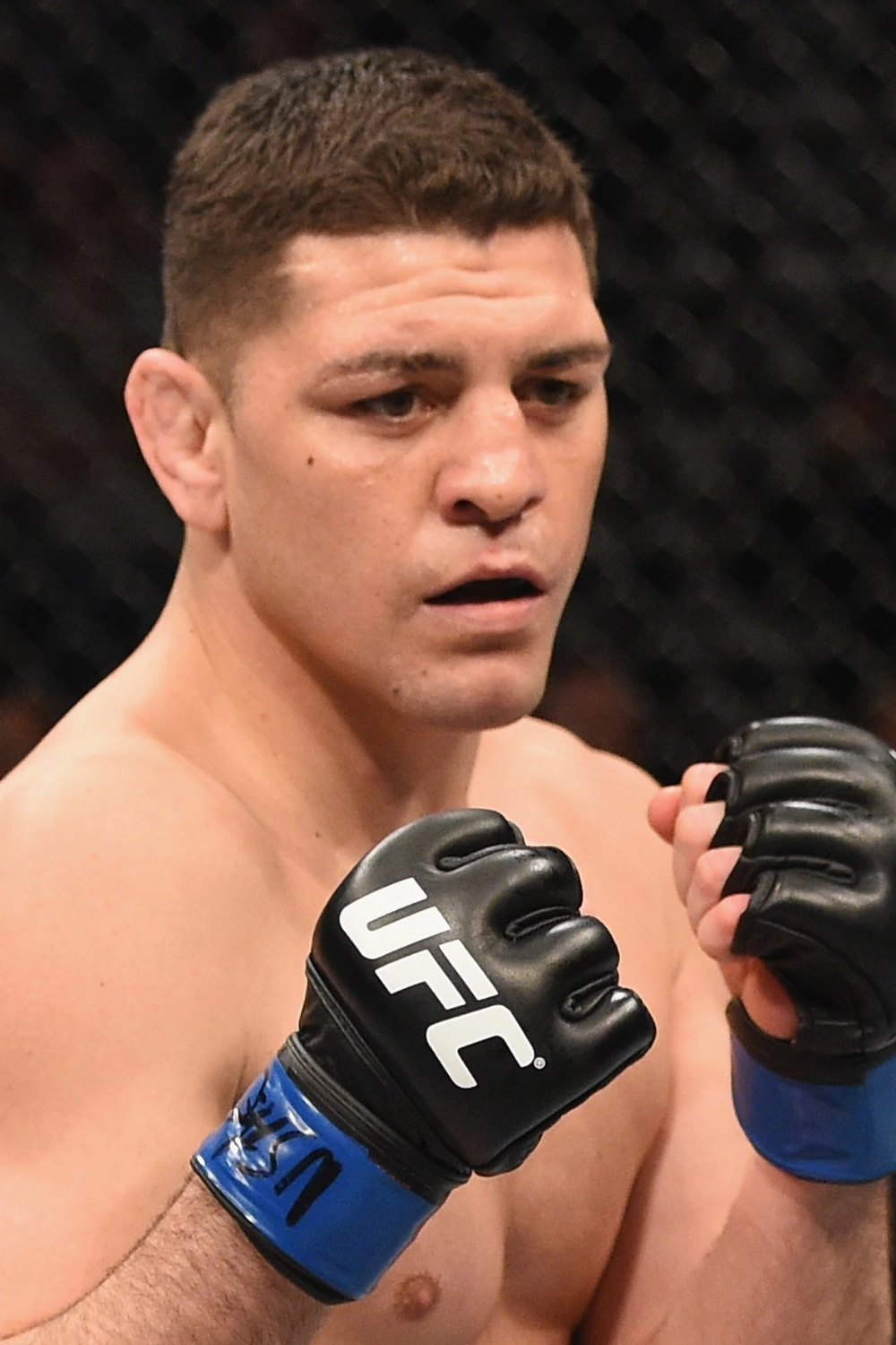 Nick Diaz Bio Early Life Career Net Worth UFC Wife Players Bio