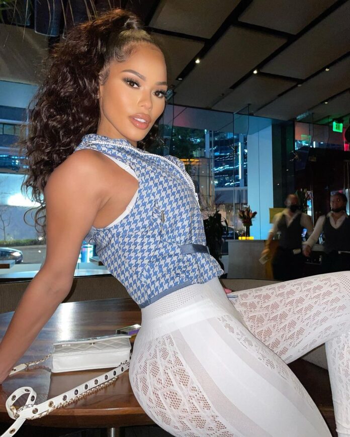 Rece Mitchell Bio: Drake, Net Worth, Lou Williams & Sister - Players Bio