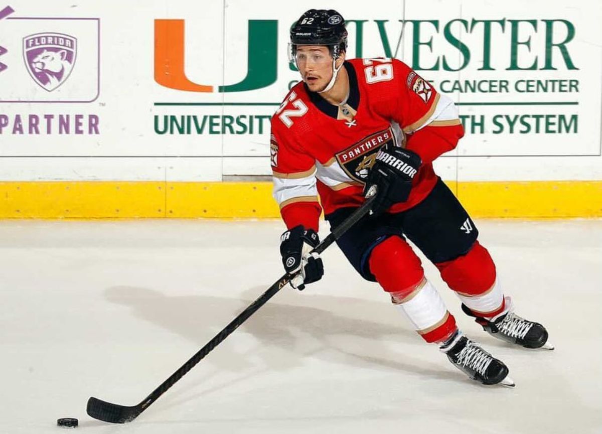 Who Are Cam And Tammy Montour? Panthers Brandon Montour Parents ...