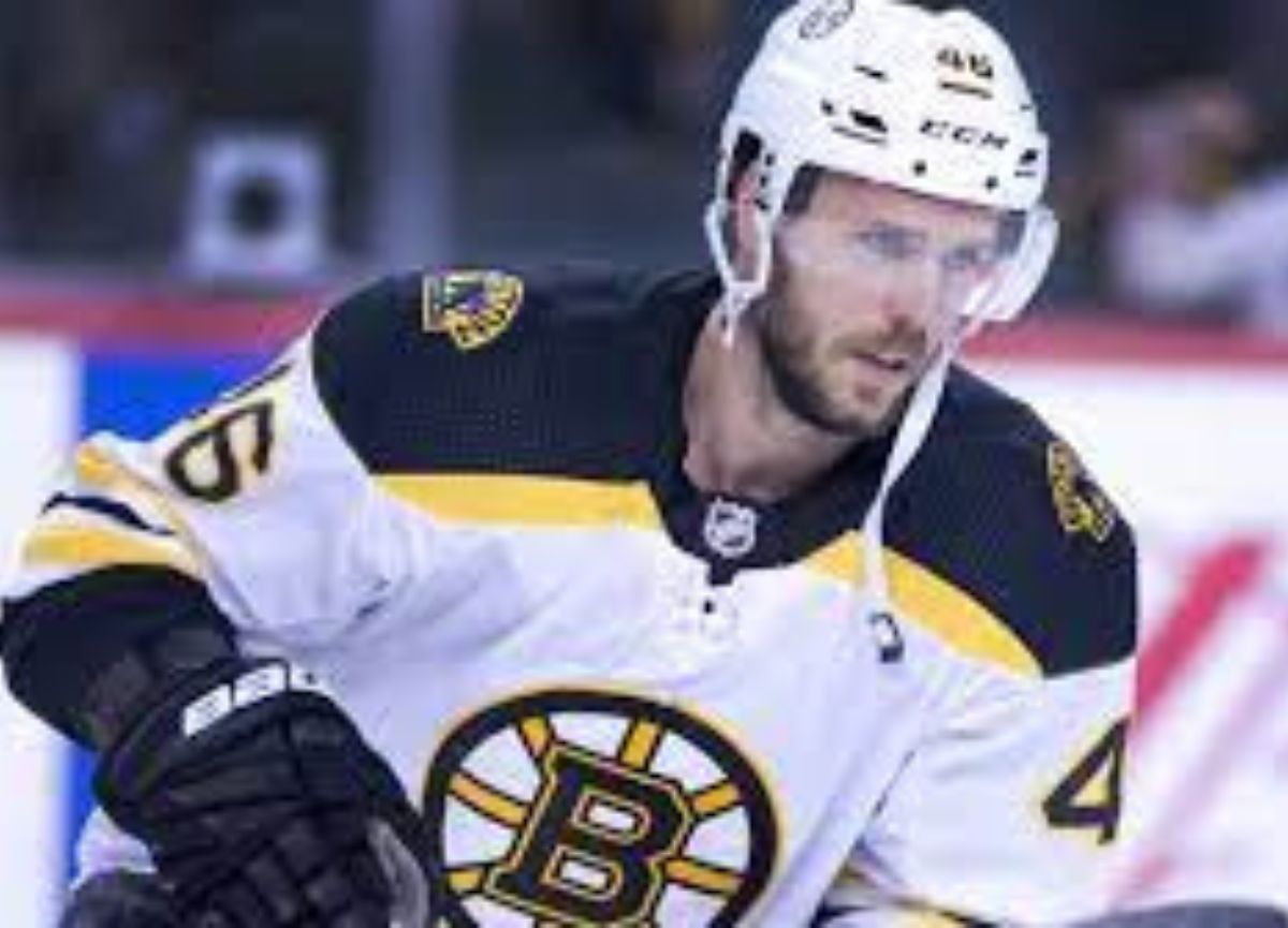 Who is Zdenek Krejci? David Krejci Brother-Age Gap And Family Tree ...