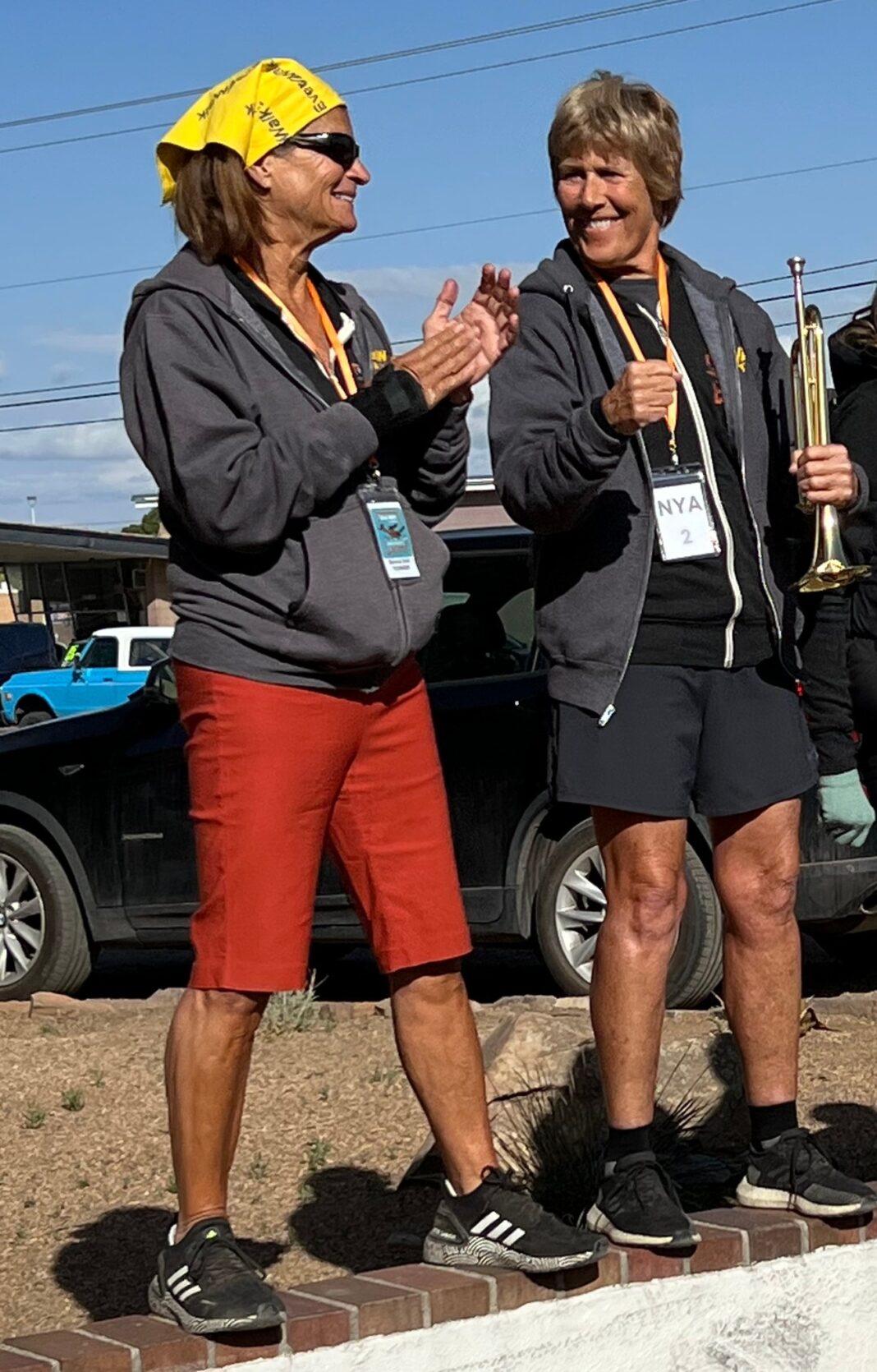 Bonnie Stoll Wikipedia And Age: Is She Diana Nyad Partner? - Players Bio