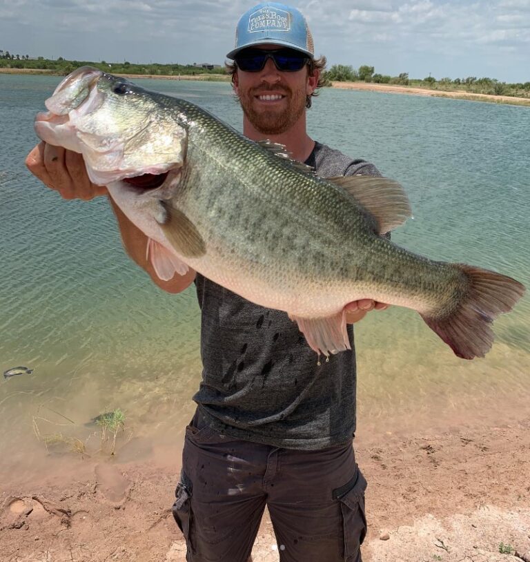 Is Mason Shipley Related To Jordan Shipley? Family Tree Explored ...