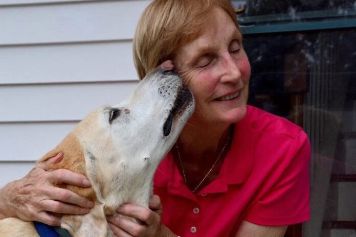 James Blake Ethnicity And Parents: Where Is The Tennis Player From ...