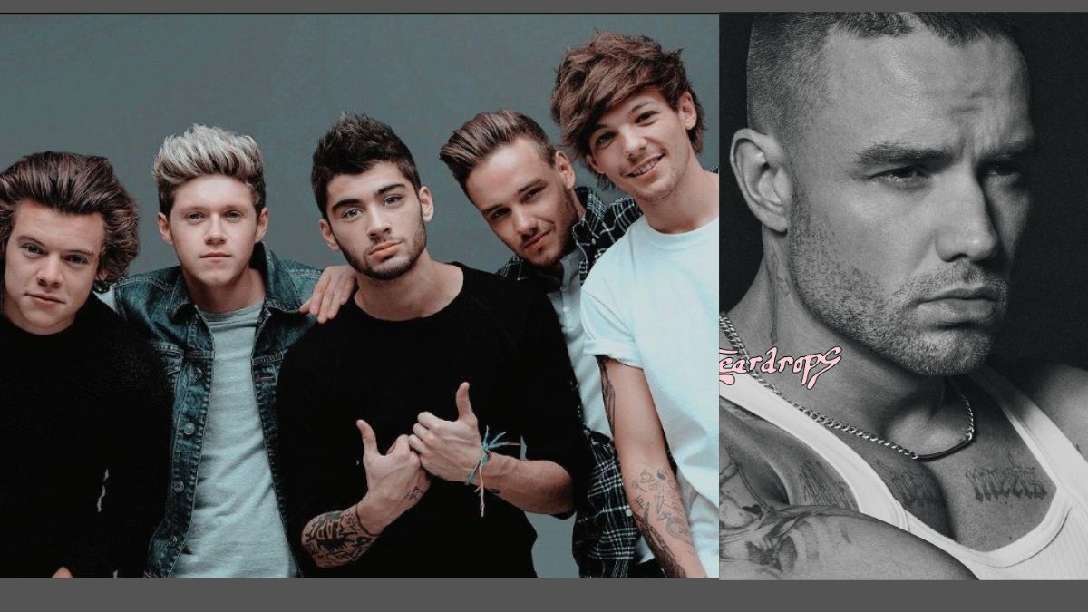 One Direction reaction To Liam Payne - Players Bio
