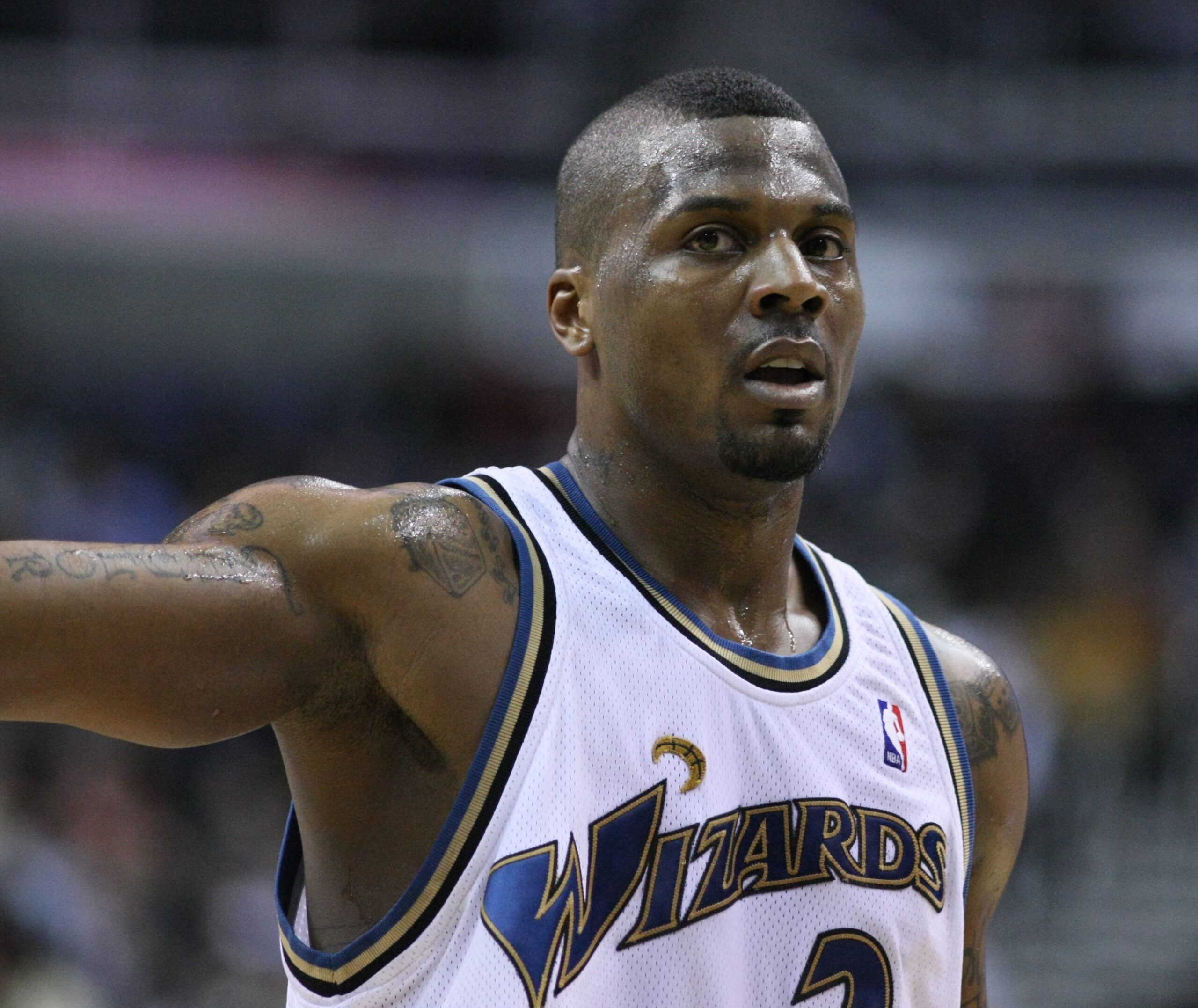 DeShawn_Stevenson - Players Bio