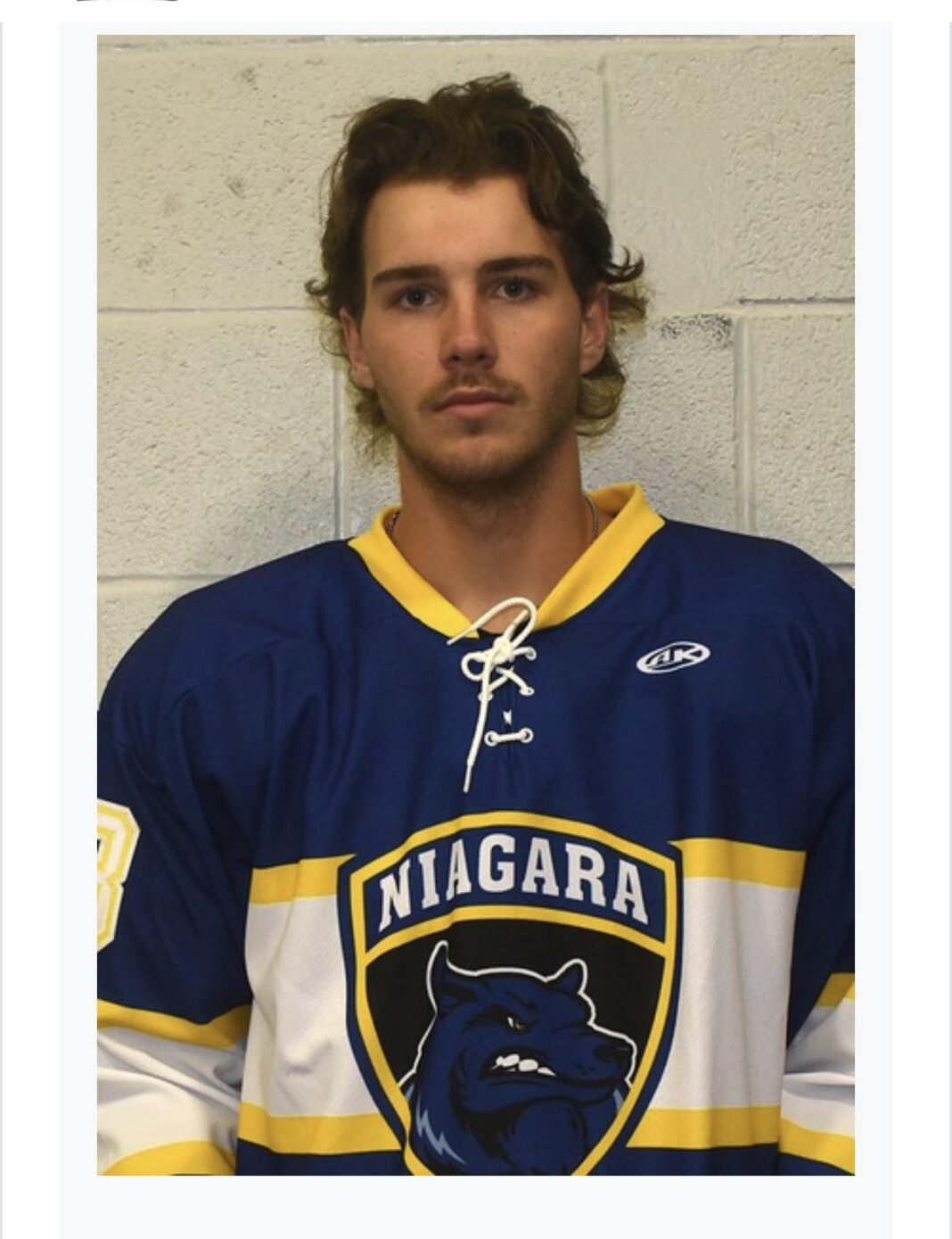 Niagara County Community College Hockey Player Andrew Vaeth Goes ...