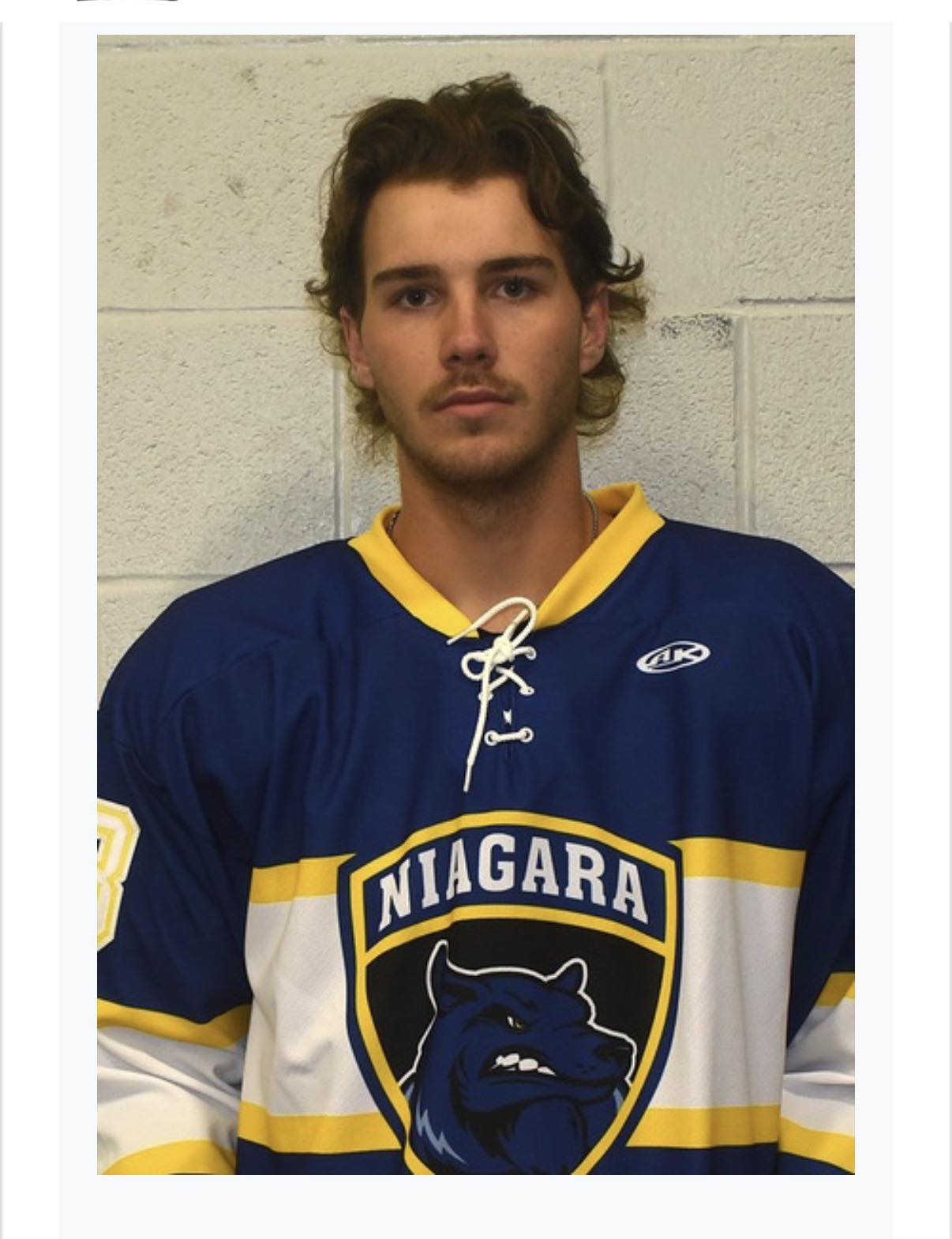 Niagara County Community College Hockey Player Andrew Vaeth Goes ...